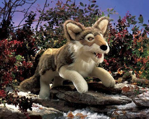 Gray Wolf | Puppet Wiki | Fandom