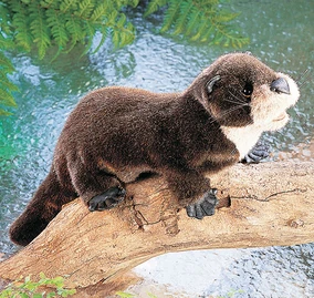 River Otter | Puppet Wiki | Fandom