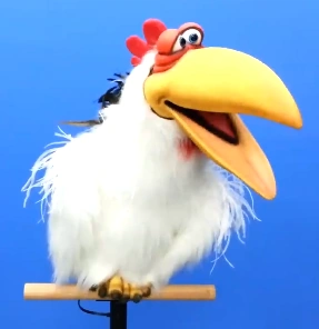 Cluck Chicken | Puppet Wiki | Fandom