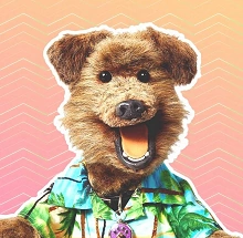 Hacker | Puppet Wiki | Fandom