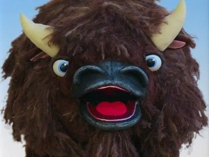 Buffalo | Puppet Wiki | Fandom