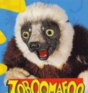 Zoboomafoo (Character) | Puppet Wiki | Fandom