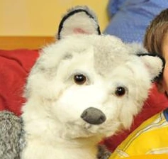 Tiga the Wolf | Puppet Wiki | Fandom