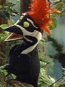 Didi the Woodpecker | Puppet Wiki | Fandom
