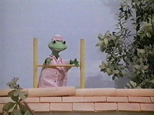 Kiki the Turtle | Puppet Wiki | Fandom