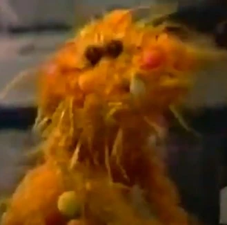 Bog | Puppet Wiki | Fandom