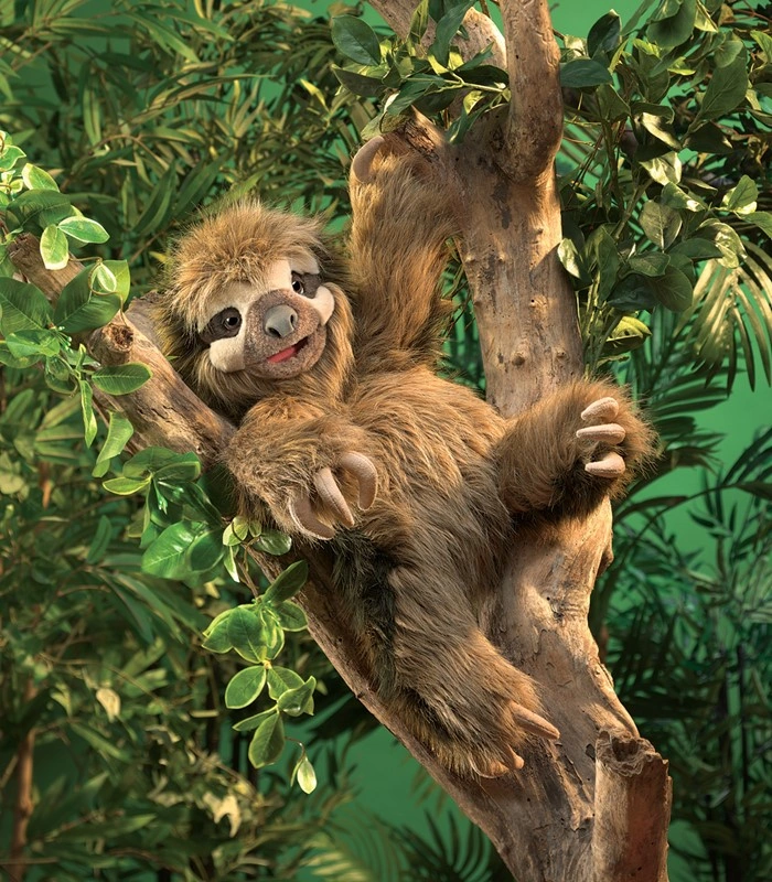 Three-Toed Sloth | Puppet Wiki | Fandom
