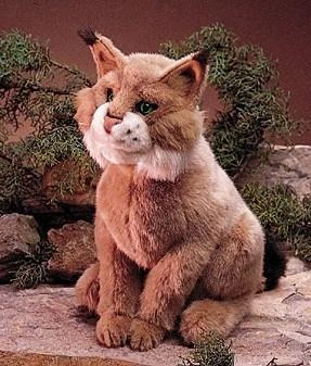 Bobcat | Puppet Wiki | Fandom
