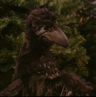 Caw | Puppet Wiki | Fandom