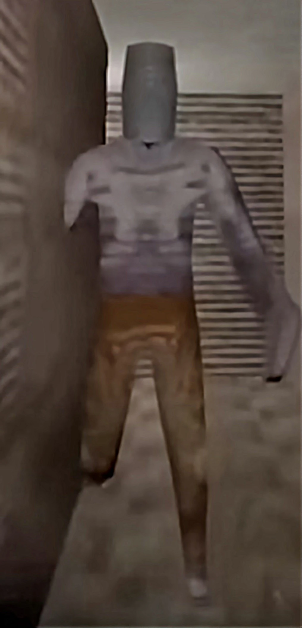 Bucket-Headed Zombie | Puppet Combo Wiki | Fandom