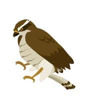 Hawk | Puppet Guardian Wiki | Fandom