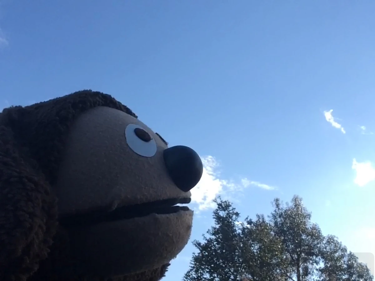 Dog | The Puppet Saga Wiki | Fandom