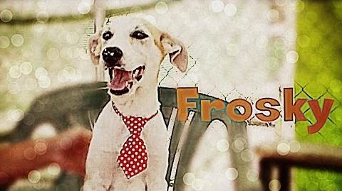 Frosky/Galería | Wiki Sociedad Protectora de Cachorros | Fandom