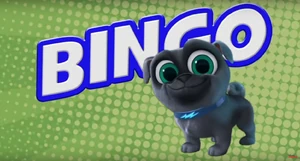 Bingo | Puppy Dog Pals Wiki | Fandom