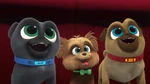 Chin Up, Pups/Gallery | Puppy dog pals Wiki | Fandom
