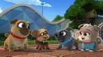 Chin Up, Pups/Gallery | Puppy dog pals Wiki | Fandom