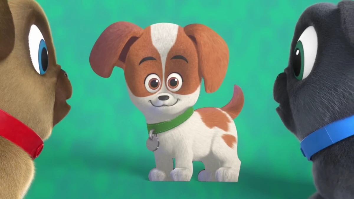 Looking for Cody | Puppy dog pals Wiki | Fandom