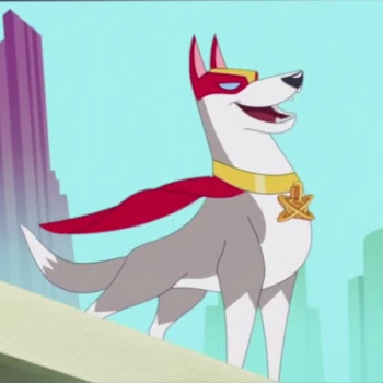 Captain Dog | Puppy dog pals Wiki | Fandom