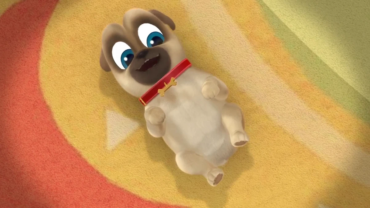 ARF-choo!/Gallery | Puppy dog pals Wiki | Fandom