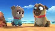 Keia | Puppy dog pals Wiki | Fandom