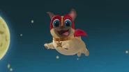 Rolly | Puppy dog pals Wiki | Fandom