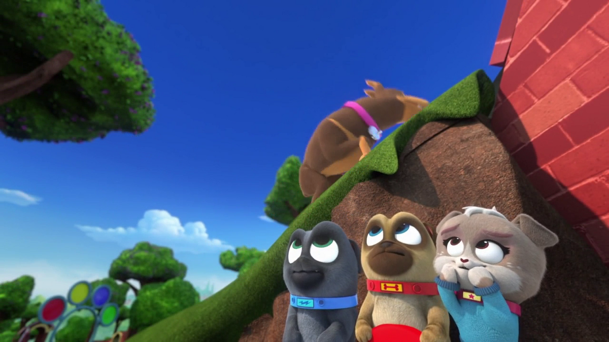 Hide and Seek Song | Puppy dog pals Wiki | Fandom