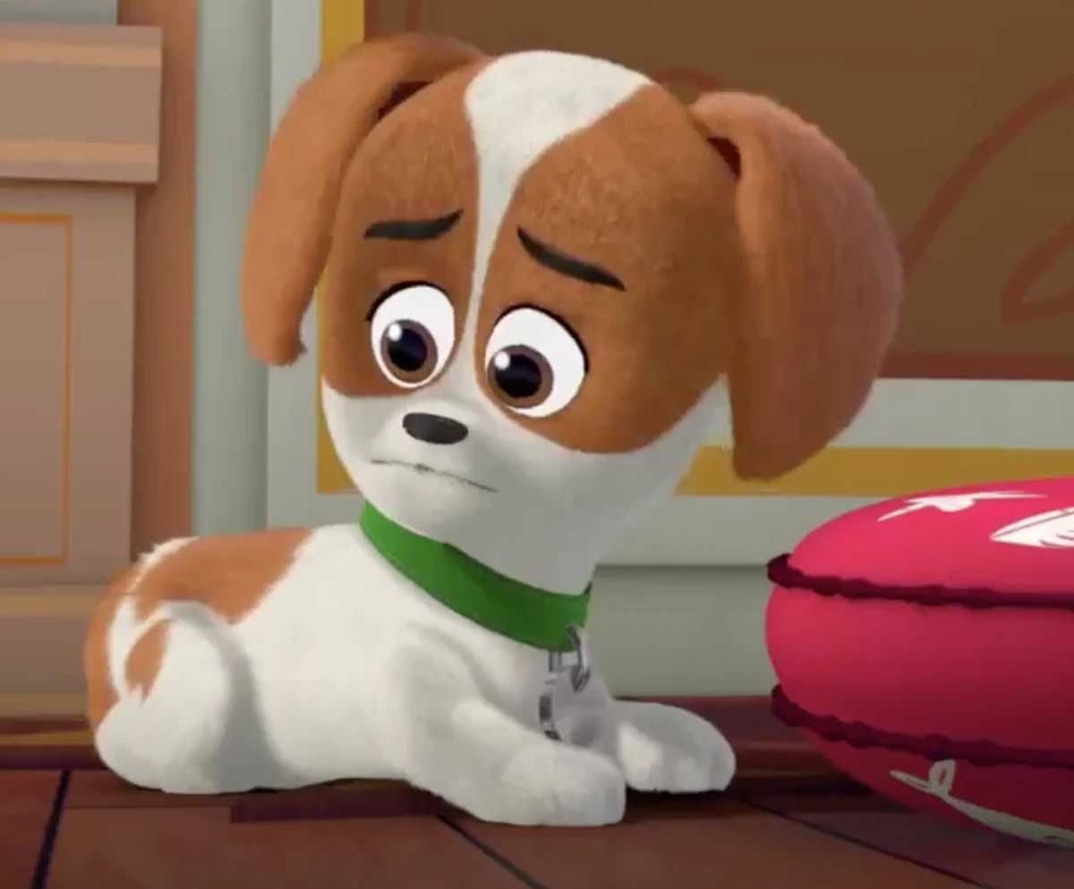 Cody | Puppy dog pals Wiki | Fandom