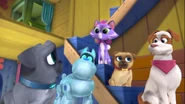 Hissy/Gallery | Puppy dog pals Wiki | Fandom
