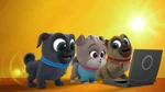 Chin Up, Pups/Gallery | Puppy dog pals Wiki | Fandom