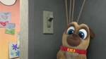 Chin Up, Pups/Gallery | Puppy dog pals Wiki | Fandom