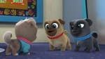 Chin Up, Pups/Gallery | Puppy dog pals Wiki | Fandom