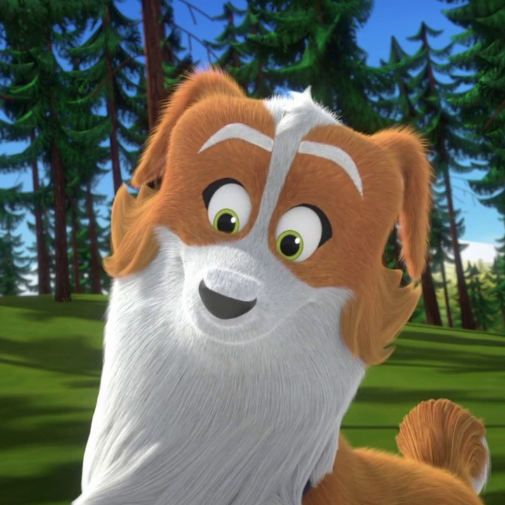 Lasso | Puppy dog pals Wiki | Fandom