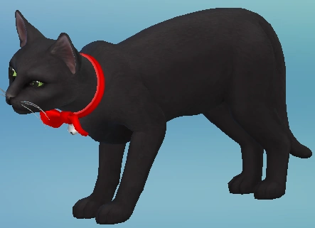Prince Alex | Puppy In My Pocket Fanon Wiki | Fandom
