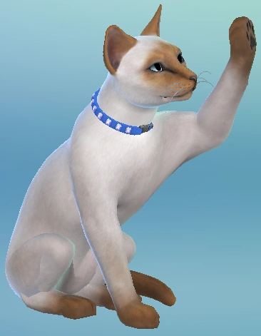 Princess Ava/fanart gallery | Puppy In My Pocket Fanon Wiki | Fandom