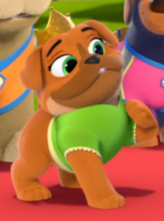 Princess Sunny Pupstruction Wiki Fandom
