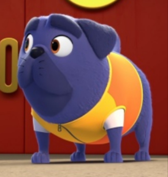 Funny Ferguson Pupstruction Wiki Fandom