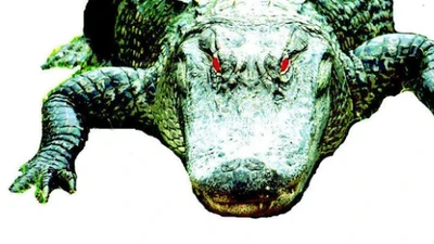 Discuss Everything About Pure Evil Wiki | Fandom