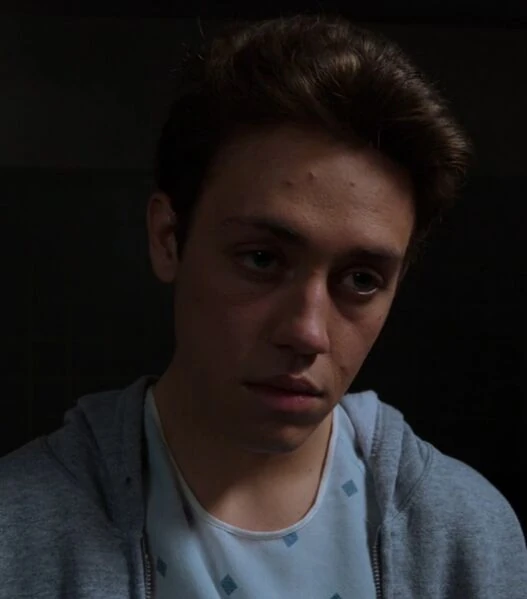 Henry Mesner | Pure Evil Wiki | Fandom