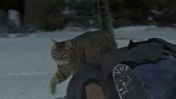 Azazel (Fallen) | Pure Evil Wiki | Fandom