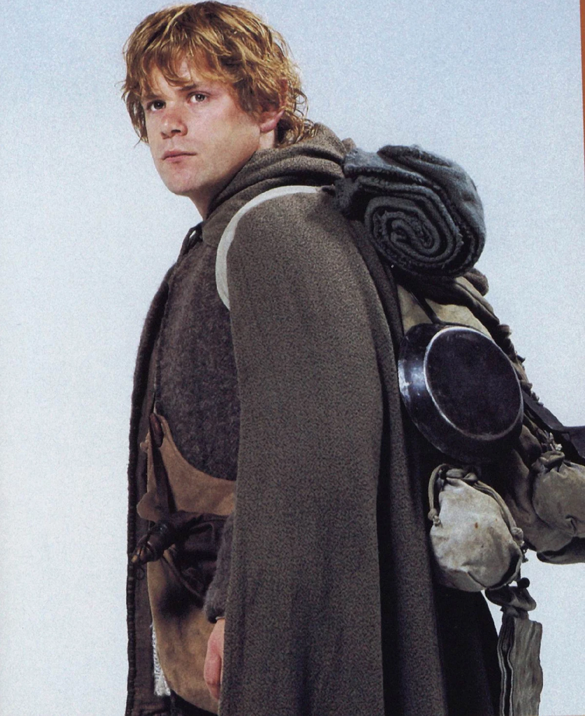 Samwise Gamgee | Pure Good Wiki | Fandom