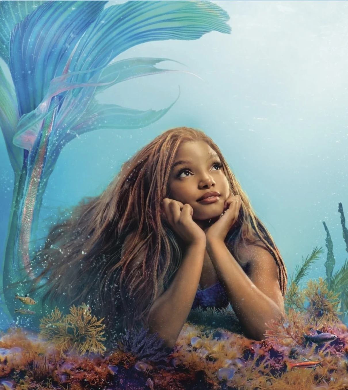 Arte Della Principessa Disney Ariel