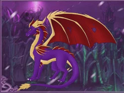 spyro comic pure light