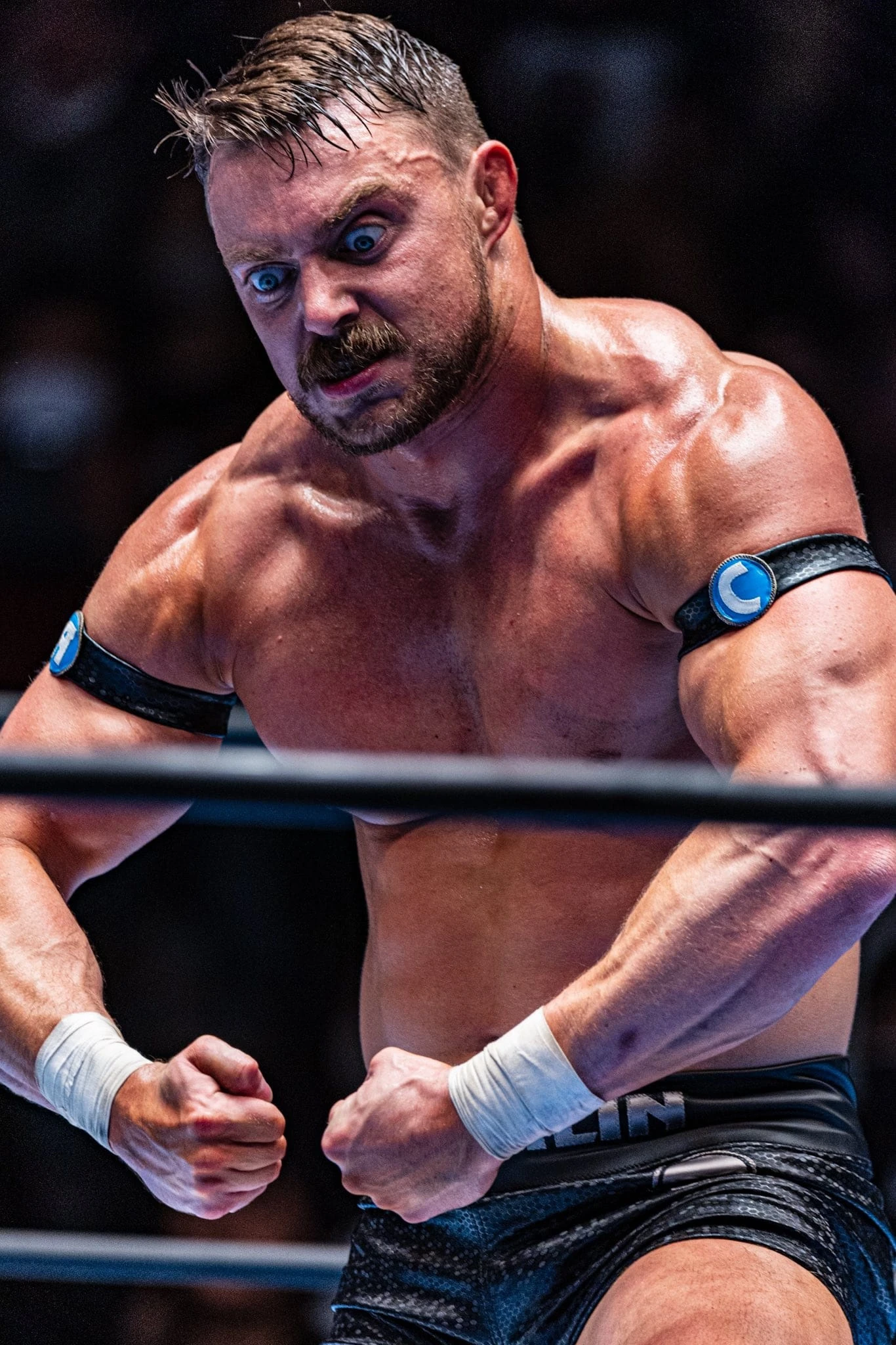 Alex Coughlin | Puroresu System Wiki | Fandom