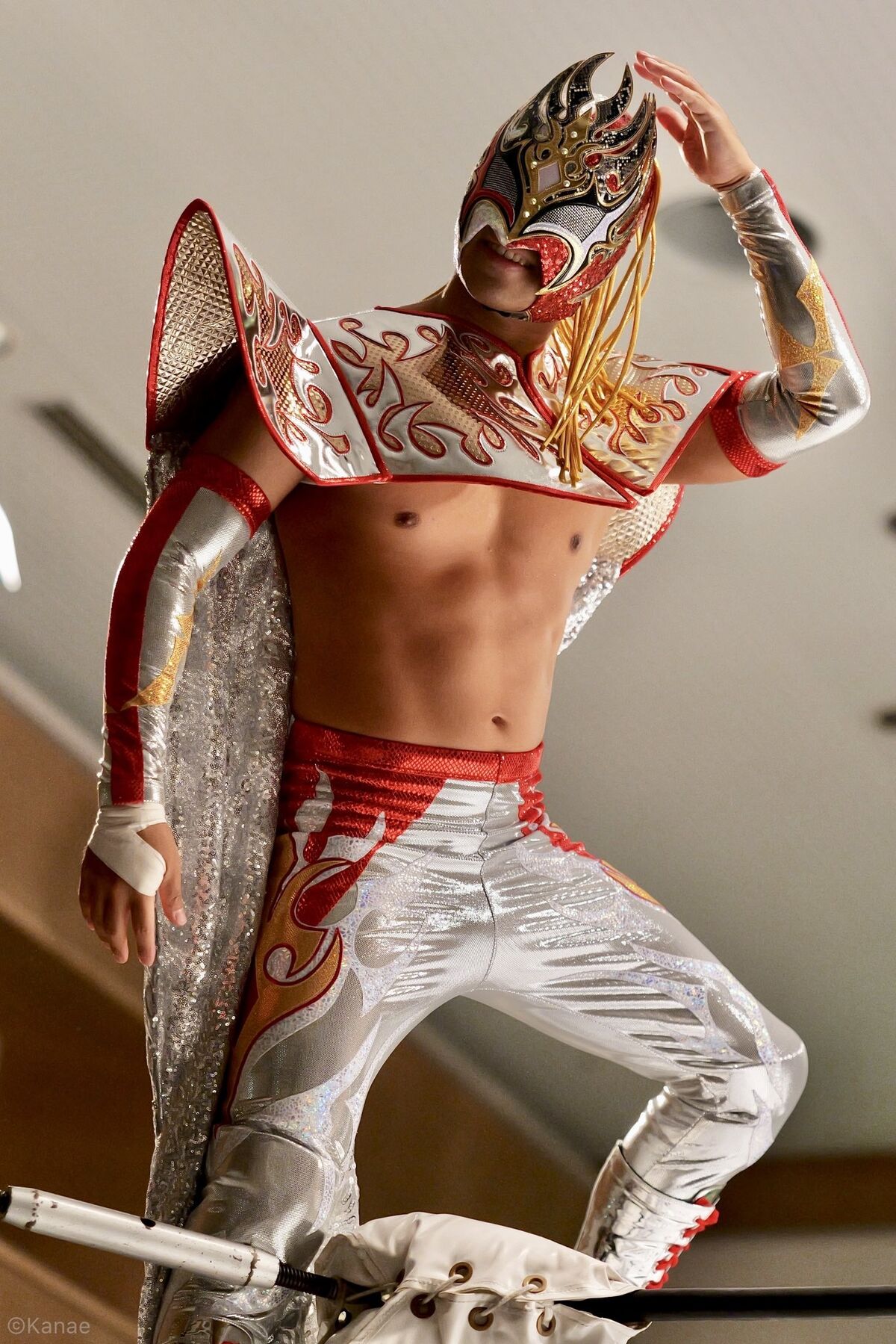 Alejandro Puroresu System Wiki Fandom