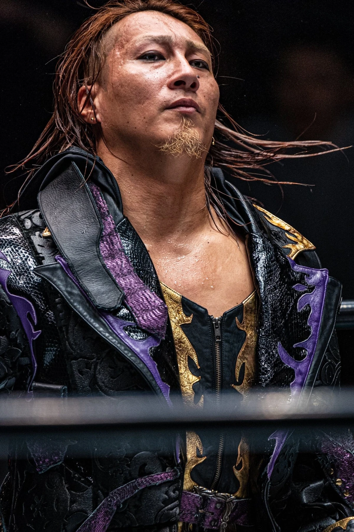 HAYATA | Puroresu System Wiki | Fandom