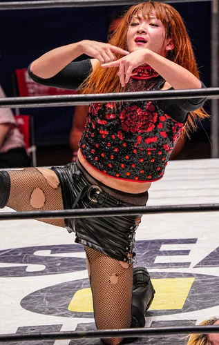 ASUKA | Puroresu System Wiki | Fandom