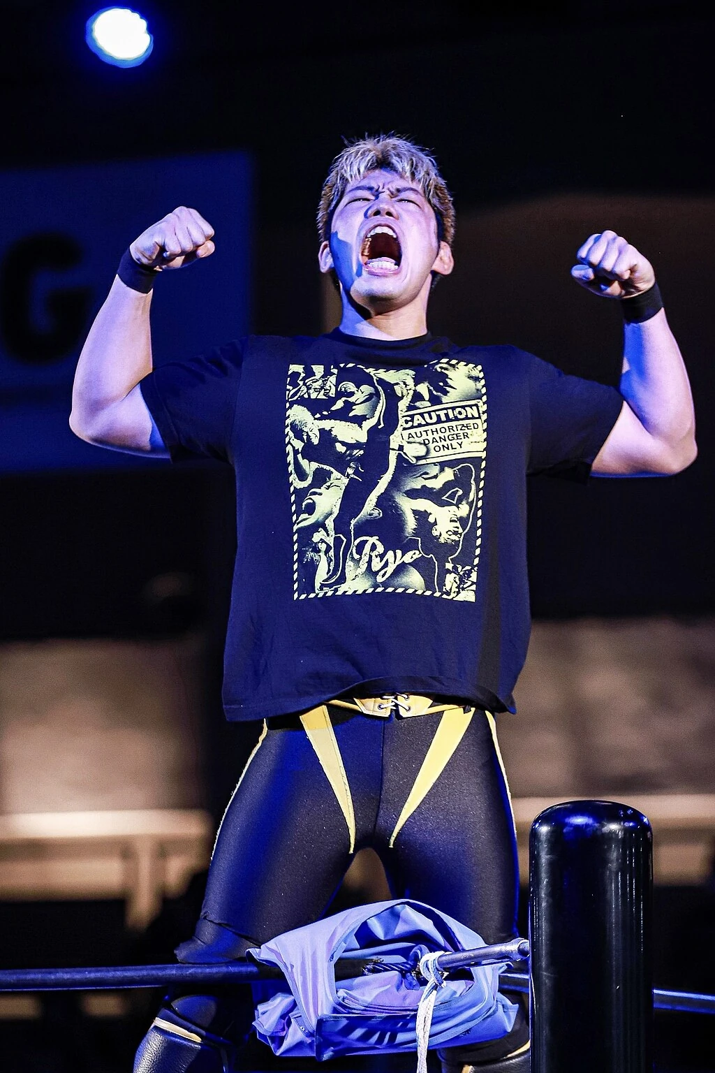 Ryo Inoue | Puroresu System Wiki | Fandom