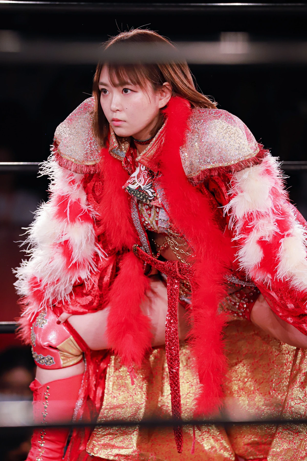 Sareee | Puroresu System Wiki | Fandom