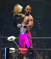 Ricochet | Puroresu System Wiki | Fandom