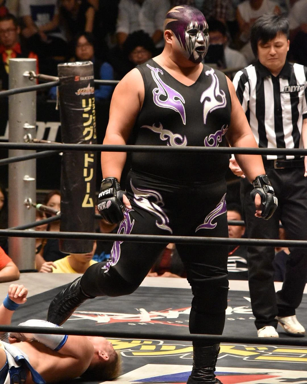 MJ Paul | Puroresu System Wiki | Fandom